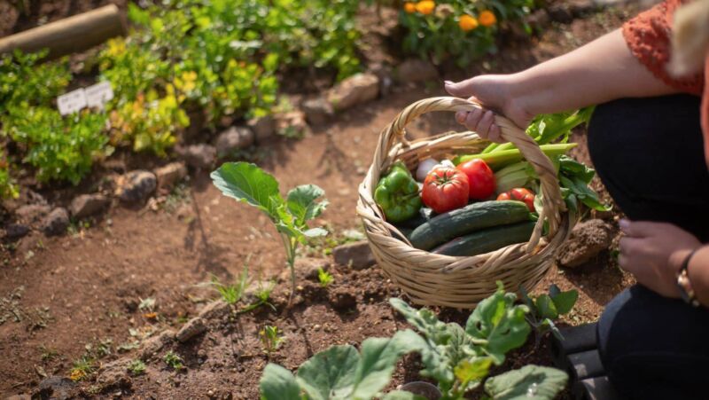 The Best Hobbies For Women Over 50 And Beyond!