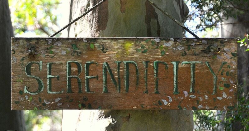 10 Ways To Cultivate Curiosity & Embrace A Growth Mindset