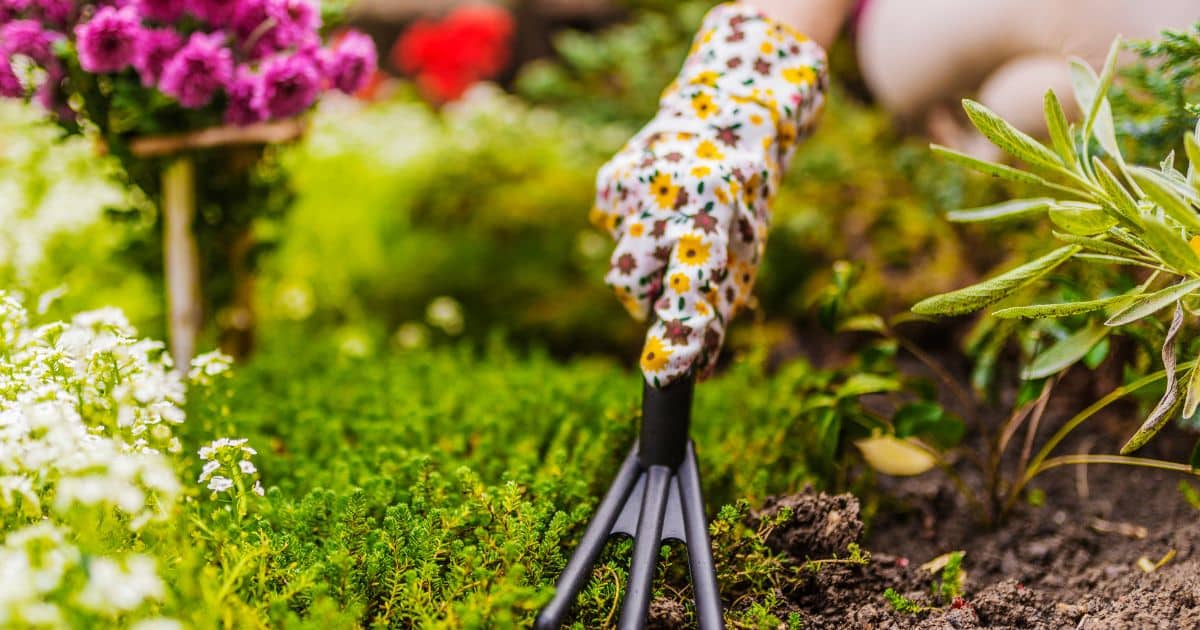 The Best Hobbies For Women Over 50 And Beyond! (2026)